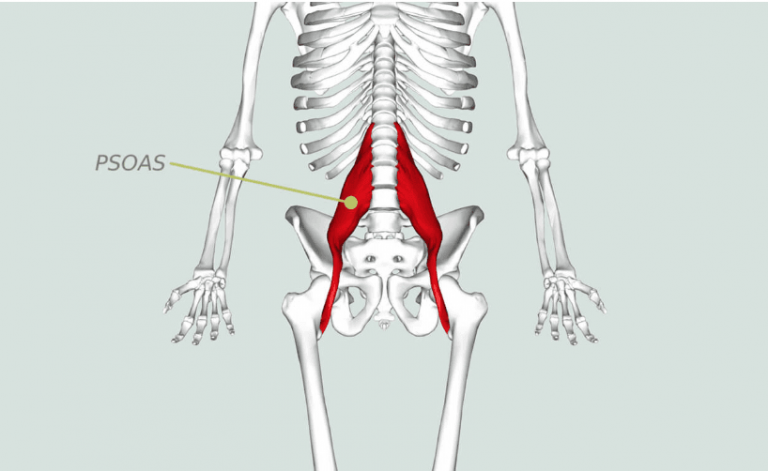 Can Everyone Do The Splits? Do This Side Split Test! – Journey to Mobility